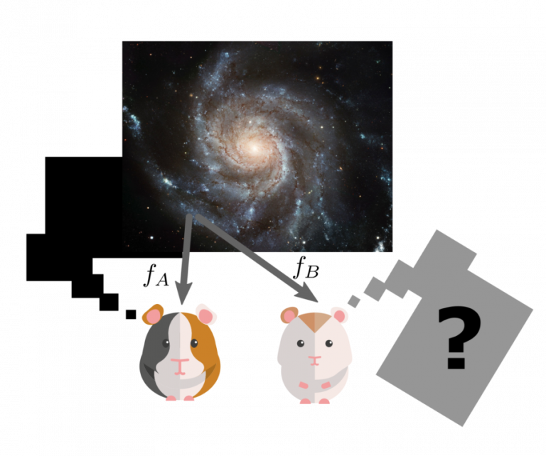 Sample-Efficient Device-Independent Quantum State Verification and ...